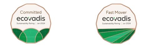 Ecovadis提升
