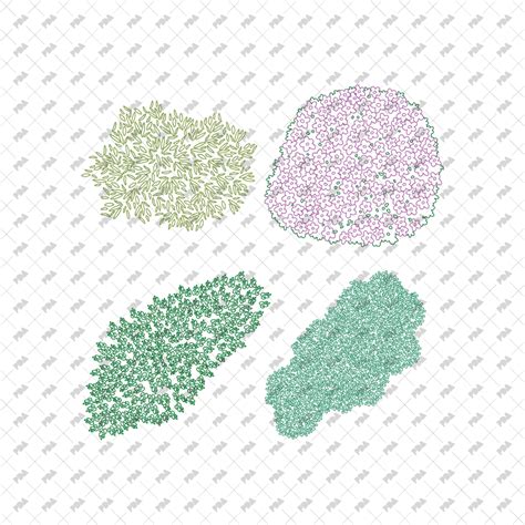 Cad Vector Png Shrubs And Bushes In Color And B W Top View Post Digital Architecture