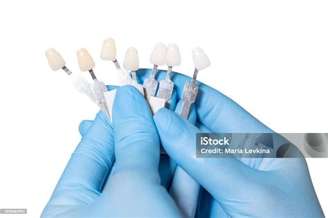 의료용 멸균 장갑을 낀 의사의 손은 그늘 가이드 표백제 색상 여성 베니어 미소 치과 치료 및 구강학 치과 Png 흰색 배경에 격리 이빨에 대한 스톡 사진 및 기타 이미지