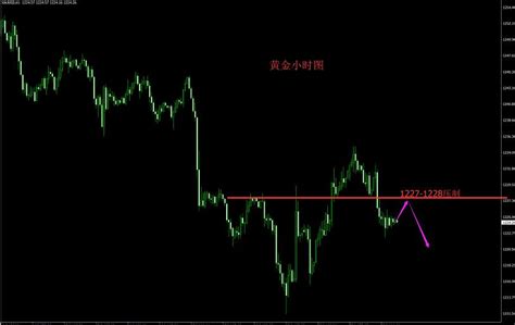外汇财经林：724现货黄金行情分析 黄金“死猫跳”延续跌势中金在线财经号