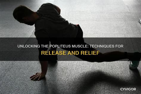 Unlocking The Popliteus Muscle Techniques For Release And Relief Cyvigor