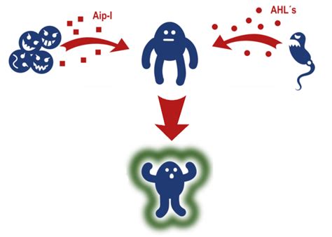 Team Groningen Project Parts