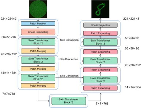 Swin Unet Network Structure Diagram Download Scientific Diagram