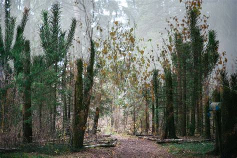 Elevated Testosterone In Men Causes And Symptoms Explained