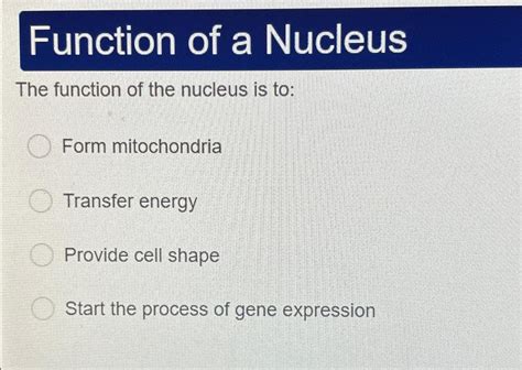 Solved Function Of A NucleusThe Function Of The Nucleus Is Chegg Com
