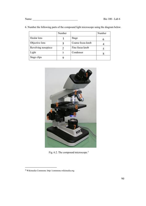 SOLUTION Microscope And Cell Studypool