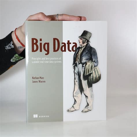Big Data Principles And Best Practices Of Scalable Real Time Data Systems Nathan Marz James