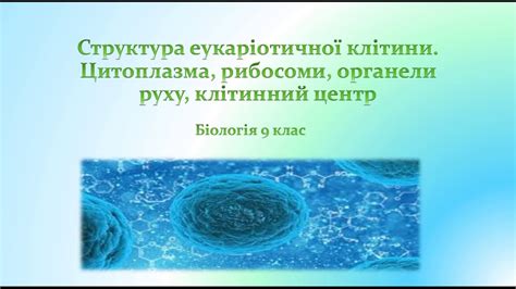 Біологія 9 клас Структура еукаріотичної клітини Цитоплазма Рибосоми Органели руху Youtube