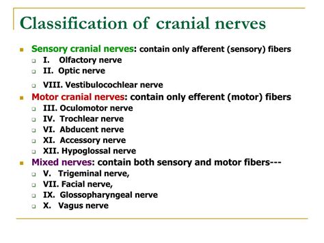 PPT The Cranial Nerves PowerPoint Presentation Free Download ID 2730195
