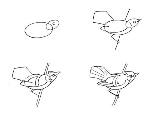 Как нарисовать птицу поэтапно картинки и рисунки на рабочий стол бесплатно