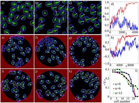 Collective Migration Of Cells Ac Emergence Of A Translational
