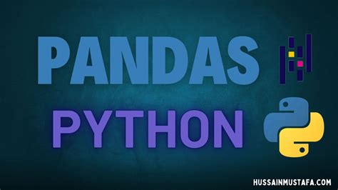Mastering Python Pandas A Beginners Guide With Examples Hussain Mustafa