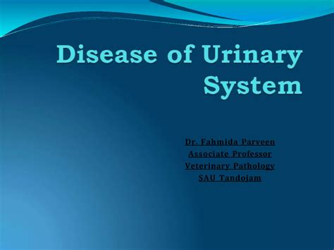 Disease Of Urinary Systempptx