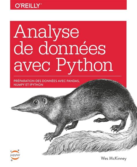 Analyse De Données Avec Python Préparation Des Données Avec Pandas Numpy Et Ipython De Wes
