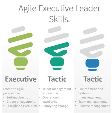 The Agile Executive Leader Exponential Agility