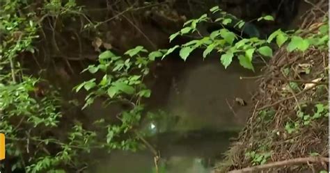 Софиянци сигнализират за замърсяване в река Княжевска подозират изливане на токсични вещества