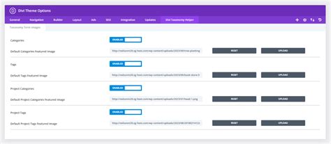 Display Divi Taxonomies And Categories With Images