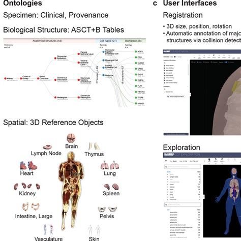 Workflow A Tissue Data Blocks Or Biopsies Are Secured By Different