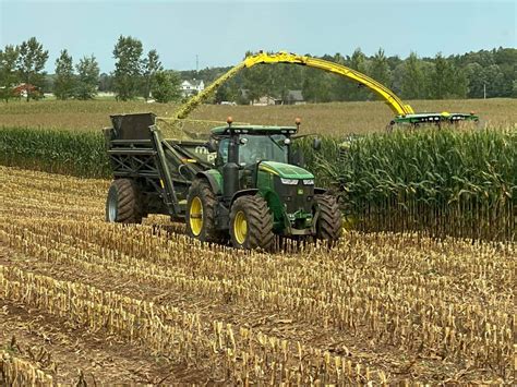Its Corn Silage Season Majestic Crossing Dairy Sustainable