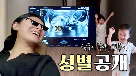 드디어 넷째의 성별이 나왔어요😲 세쌍둥이 육아 Youtube