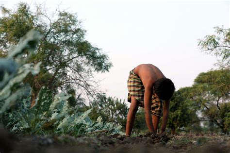 How To Get Clients For Your Cultivation Business Logomakershop Blog