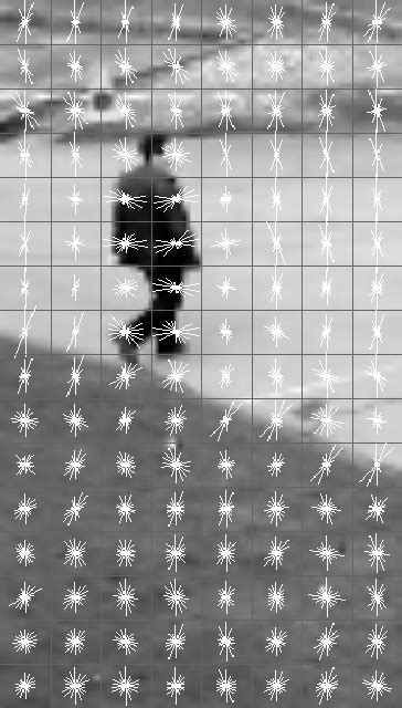 Different Results Of Gpuhogdescriptor And Cvhogdescriptor Opencv