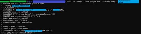 Unknown Remote Protocol Issue Qwj Python Proxy GitHub
