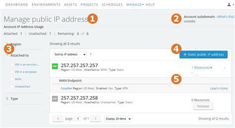 Managing Public IP Addresses Skytap Help And Documentation