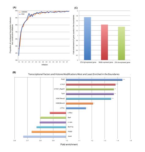 Markov Clustering Validation And Features Of The Boundaries Of The