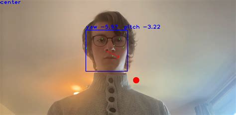 Gaze Detection And Eye Tracking A How To Guide