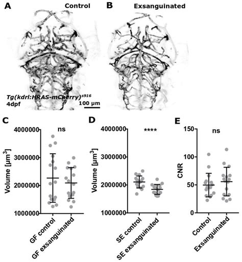 Validation Of Segmentation Sensitivity A B Data Were Acquired Before Download Scientific