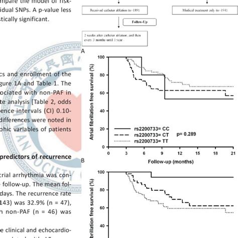 The Single Nucleotide Polymorphism Predictive Model Of Atrial Download Scientific Diagram
