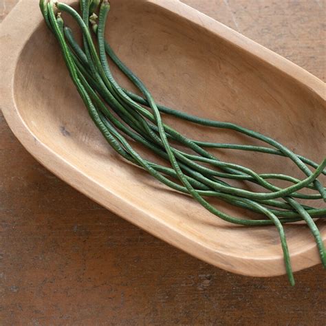 Bean Python Lucayda Farm Shop Now