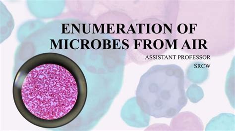 Enumeration Of Microbes From Air Pptx