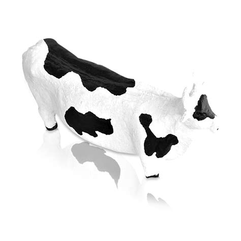 Odis Tcc Tuinornamente