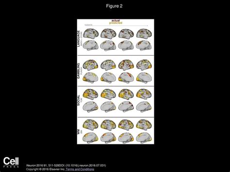 Clinical Concepts Emerging From Fmri Functional Connectomics Ppt Download