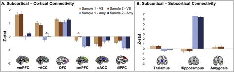 Subcortical Cortical And Subcortical Subcortical Brain Connectivity A Download Scientific