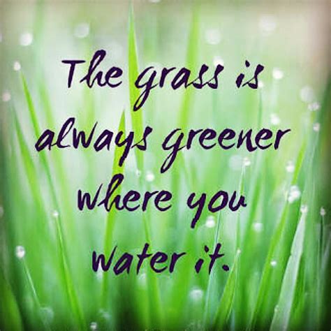 Instagram Photo By Smart Irrigation Solutions • May 20 2016 At 1157pm