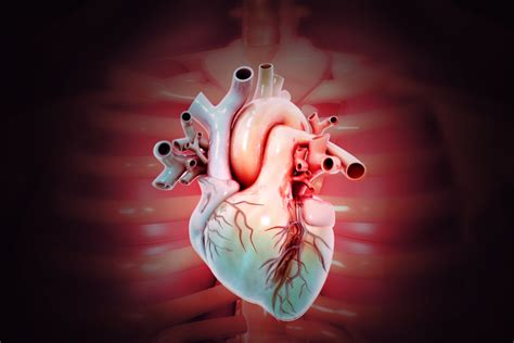 Repair Study Highlights Real World Advancements And Challenges In