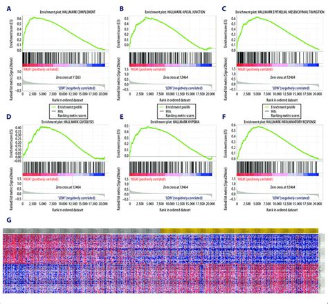 Significantly Related Genes And Phenotype Pathways In Clear Cell Renal Download Scientific