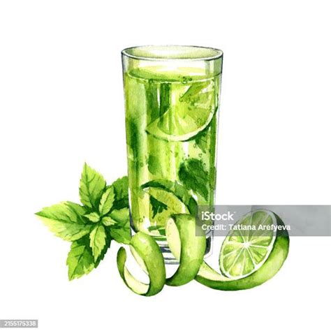 민트와 녹색 과일 라임의 신선한 잎과 모히토 칵테일의 수채화 유리 상쾌한 음료의 여름 구성 일러스트 레이션 차가운 음료의 손으로 그린 스케치 고립 된 흰색 배경 0명에 대한