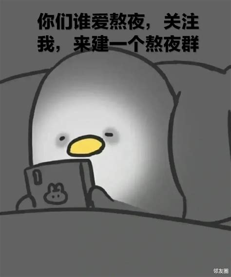 这个可以有 邻友圈