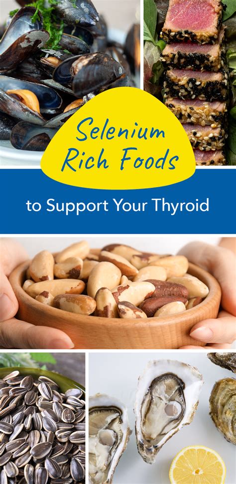 Selenium Rich Foods For Hypothyroidism Np Thyroid