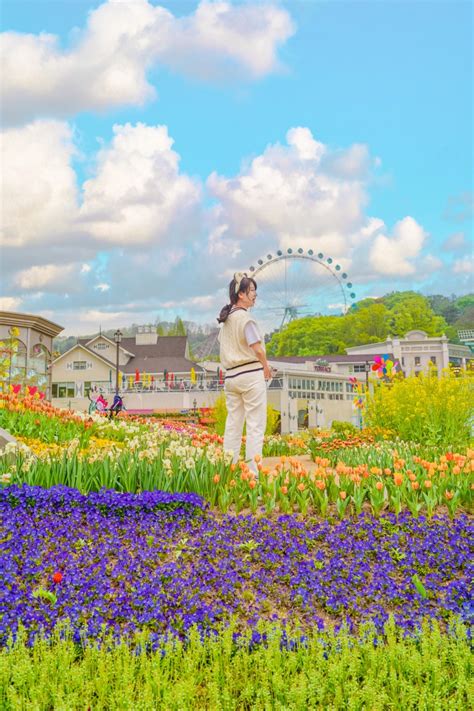 용인 에버랜드 꿀팁 ♥ 자유이용권 할인 무료 주차장 스마트 줄서기 네이버 블로그
