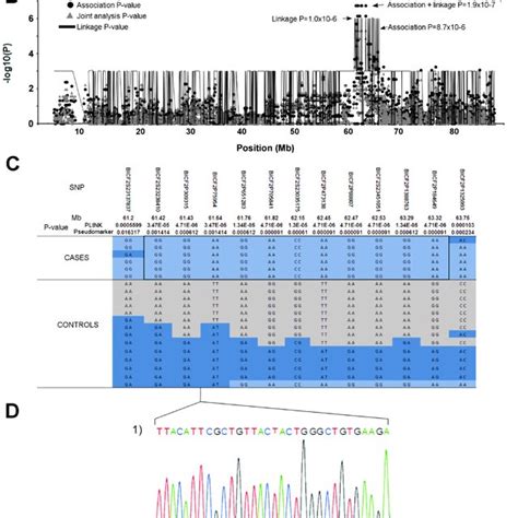 Genome Wide Association And Linkage Analyses A A Manhattan Plot Of