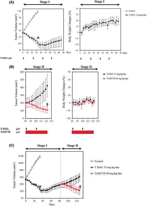 Tumors With Acquired Resistance To T‐dm1 Were Vulnerable To Tas0728 A