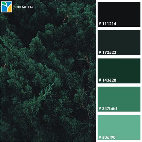 Pin On Color Schemes