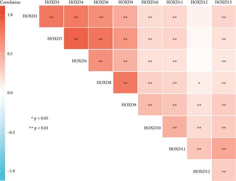 Correlation Between Every Two Genes Of Hoxd Genes Download