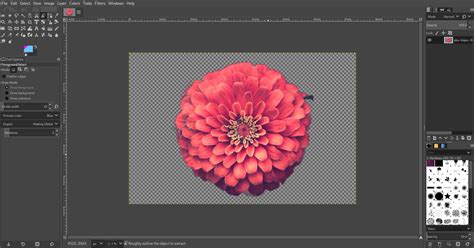 How To Remove A Background In GIMP