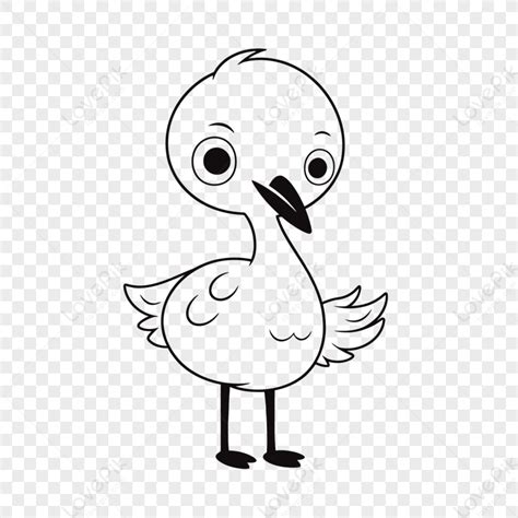 흰색 배경 개요 스케치에 그리기 만화 새 벡터즈크 바지깃털 Png 일러스트 무료 다운로드 Lovepik